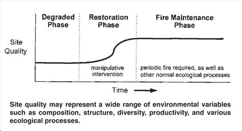 Phases Of Ecosystem Restoration Download Scientific Diagram