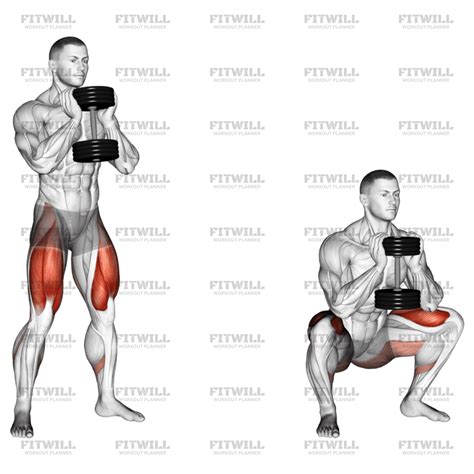 Dumbbell Goblet Squat Exercise Guide Video Techniques Benefits How To Muscles Worked Tips