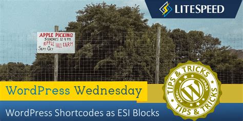Turning Wordpress Shortcodes Into Esi Blocks ⋆ Litespeed Blog
