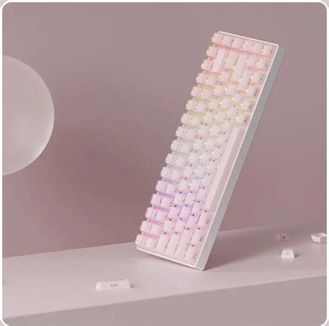 Ukiyo E Series Oem Keycap Set Fushion Design Kawaiikeycaps