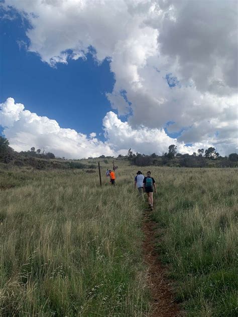 Breaking Barriers How Nature Scripts Is Rewriting The Story Of Mental