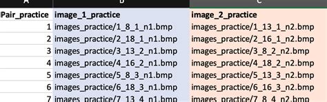 Selecting Different Rows Per Iteration In A Loop Builder Psychopy
