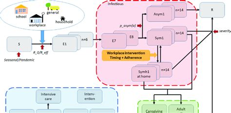 Schematic Representation Of Our Model An Age Stratified Seir Model Is