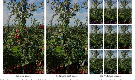 Figure 1 From Few Shot Fruit Segmentation Via Transfer Learning