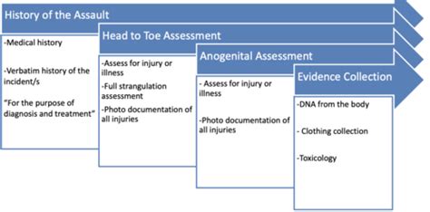Womens Health Care Of The Sexual Assault Pt Trauma During Preg Flashcards Quizlet