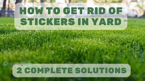 Tips On How To Get Rid Of Stickers In Yard