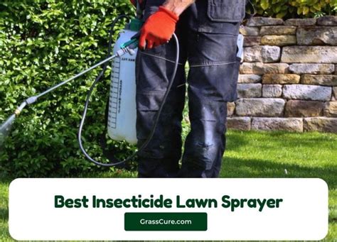 5 Best 1 Gallon Pump Sprayers Of 2026 Grass Cure