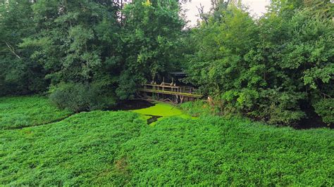 Lake Trees Lock Gate Free Stock Video Pixabay