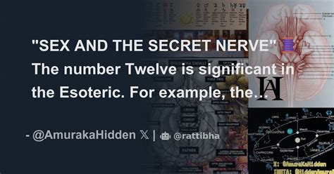 Sex And The Secret Nerve 🧵 The Number Twelve Is Significant In The Esoteric For Example The