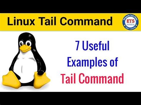7 Useful Examples Of Tail Linux Command