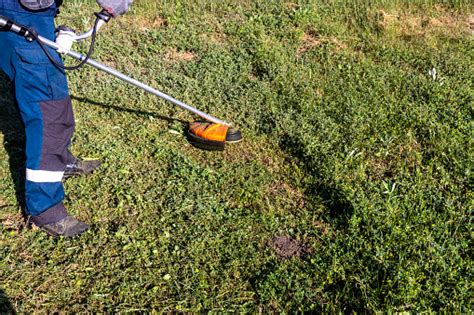 한 남자가 낮에는 트리머로 키가 큰 푸른 잔디를 깎습니다 노동자는 수동 잔디 깎는 기계로 정원의 잔디밭에 풀을 깎습니다 농부 라이프 스타일 선택적 초점 가솔린에 대한 스톡