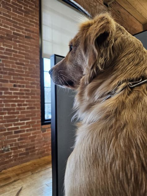 Oraclecloud Oraclefusion Capitalbudgeting Bobby Poirier