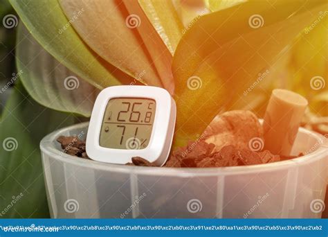 Maintaining The Temperature And Humidity Of The Air Necessary For Indoor Plants Stock Photo