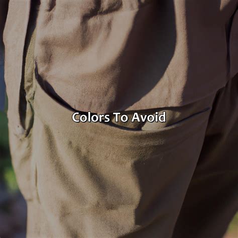 What Color T Shirt Goes With Khaki Pants At Anthony Holland Blog