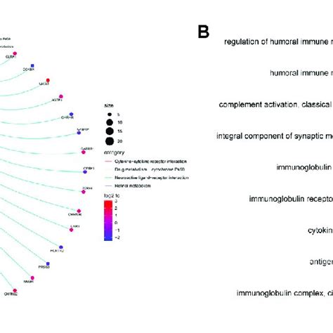 Functional Enrichment Analysis And Immune Related Functional Analysis Download High