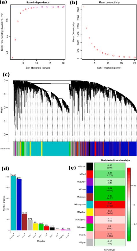 a b determination of soft thresholding power in wgcna c