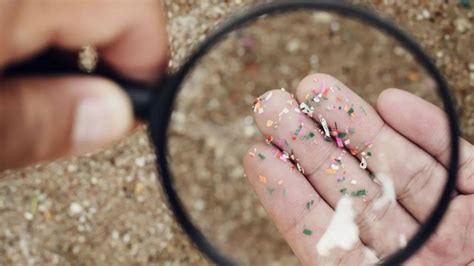 Side Effects Of Microplastics Microplastics In Food May Travel From