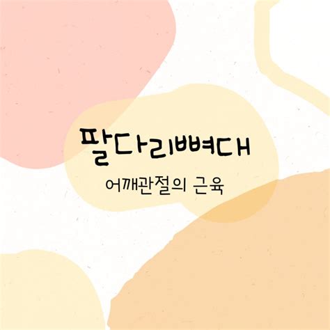 [기능해부학] 팔다리뼈대 어깨관절의 근육 네이버 블로그