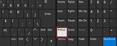 Print Screen Not Working In Windows Ways To Fix It TechCult