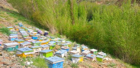 معلومات چگونگی نصب ایزوگام در تعمیرات ۱ سطح باید خشک و یا رطوبت آن بسیار کم باشد ۲ پوشش