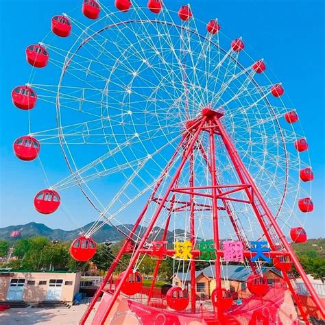 青岛游乐场青岛世博园 环球乐翻天历史新低价青岛世博园双11年度大促环球乐翻天 118青春10项票②张打卡惊艳青岛人的醉美水杉
