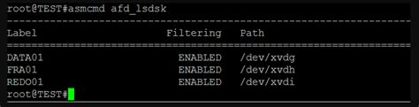 Ora Am Configure Afd Asm Filter Driver And Prepare Disks For Asm