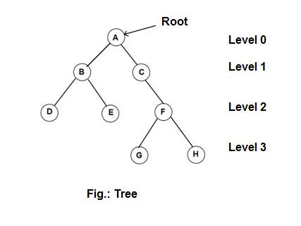 Tree In Data Structure Easyconcept