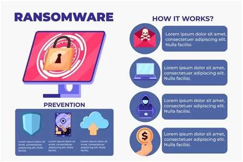 Steps For Setting Up A Firewall In 2025 Guide Moldstud