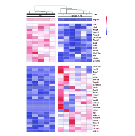 Rna Sequencing Analysis Of Naive Wt And Siglec H Ko Pdcs Naive Download Scientific Diagram