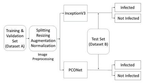 Workflow Of Training And Testing Our Models Download Scientific Diagram