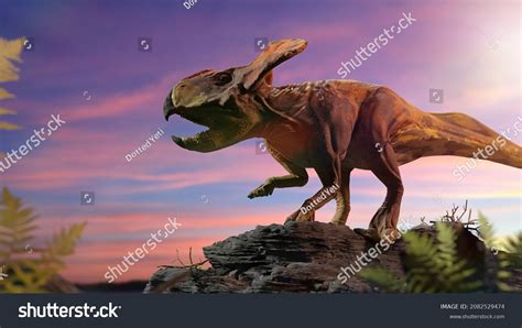 Protoceratops Over 496 Royalty Free Licensable Stock Illustrations And Drawings Shutterstock