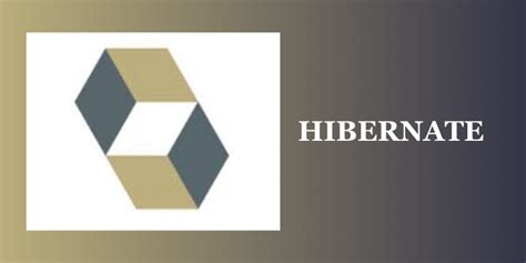 What Are Primitive Types And Wrappers In Hibernate