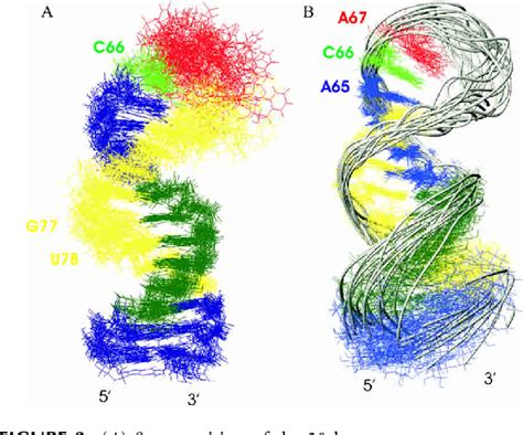 Figure 3 From Nmr Structure Of The Apob Mrna Stem Loop And Its Interaction With The C To U