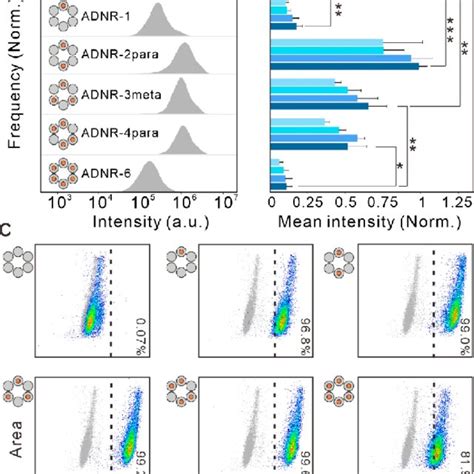 Effect Of The Cholesterol Pattern On Cell Binding Efficiency A
