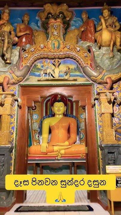 🥰සියලු සිත් නිවී පහන් වේවා🥰 Srilanka Buddha Travel Buddhisttemple Budubanasinhala Amador