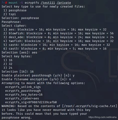 Linux 挂载ecryptfs 加密文件和目录实验linux Ecryptfs Utils Csdn博客