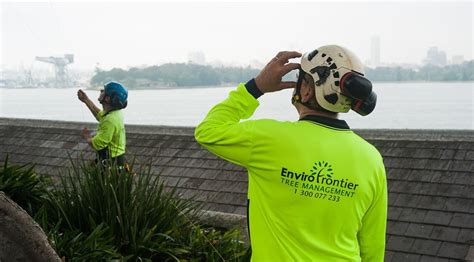 THE COMPLEXITY OF THE TREE WORKS PERMIT APPROVAL PROCESS Enviro Trees