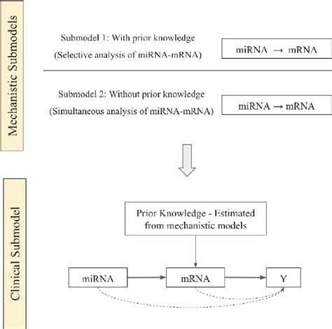 Figure 1 From Bayesian Approach Integrating Prior Knowledge For