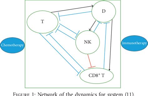 Figure 1 From Mathematical Modeling Analysis And Simulation Of Tumor
