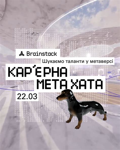 Brainstack Розвинуті софтскіли — це база основа фундамент успішної