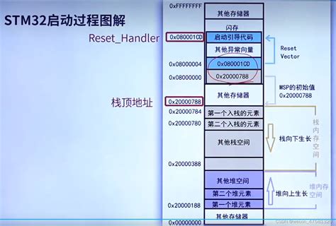 Stm32学习笔记 启动过程stm32执行向量表的复位后 Csdn博客