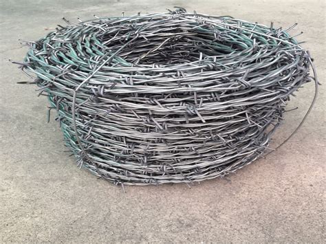 철조망 가시윤형