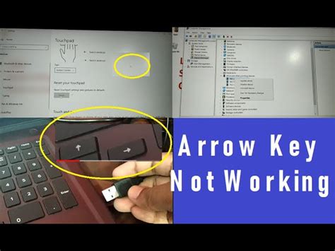 How To Fix Arrow Keys Not Working On Hp Laptop Quick Solutions