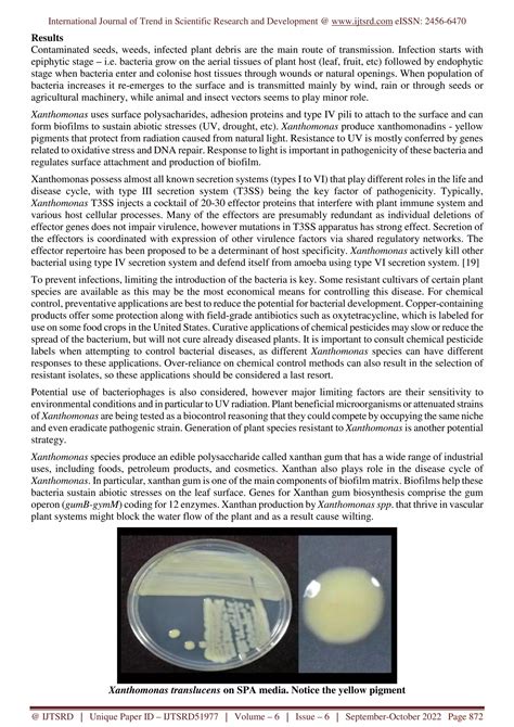 Various Plant Diseases Caused By Xanthomonas Species Pdf