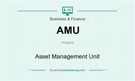 Amu Asset Management Unit In Business And Finance By