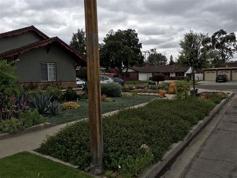 Turf Replacement Program Anaheim Ca Official Website