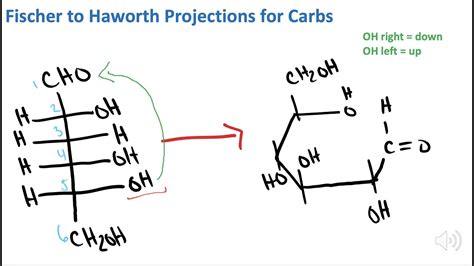 Fischer Haworth Projection Conversion Biochemistry Youtube