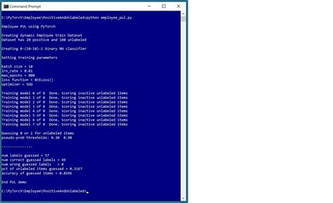 Pul Demo Run Wide James D Mccaffrey