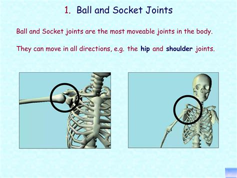 Principles Of A P 1112 Session 6 Joints Function Ppt