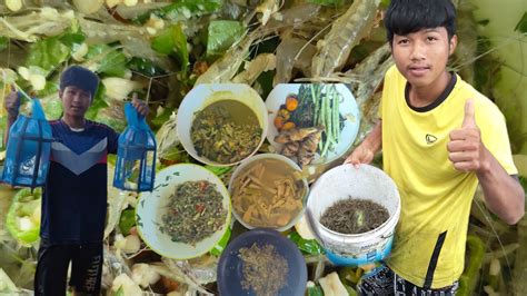 လဲၤဘီးအီၣ်သဒီၣ်ဖိညၣ်ဖိ🦐🦐🐟🐟🏞️🏞️ Youtube